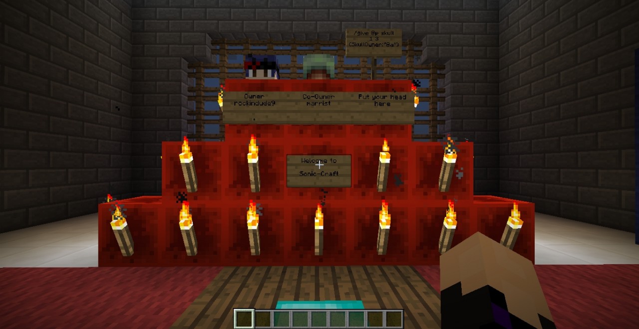 Sonic-Craft Minecraft Map