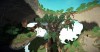 Minecraft Fantasy | Cursed Tree | Let's Show 2014 Minecraft Map