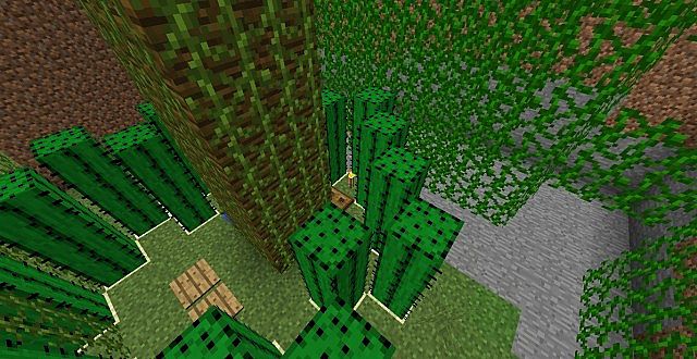 double house Minecraft Map