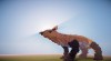 My first real organic (fox) Minecraft Map
