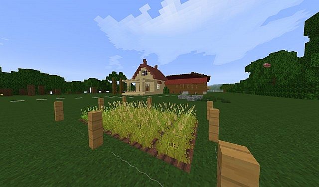 Totoro - Full Map Of The Village From Totoro V. 0.2 Minecraft Map