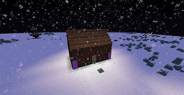 The Quest For Betty Minecraft Project