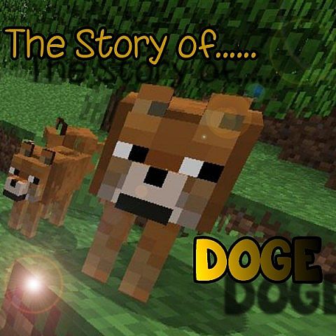 The Story of Doge