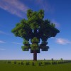 Endonian Glowstone Tree Minecraft Map