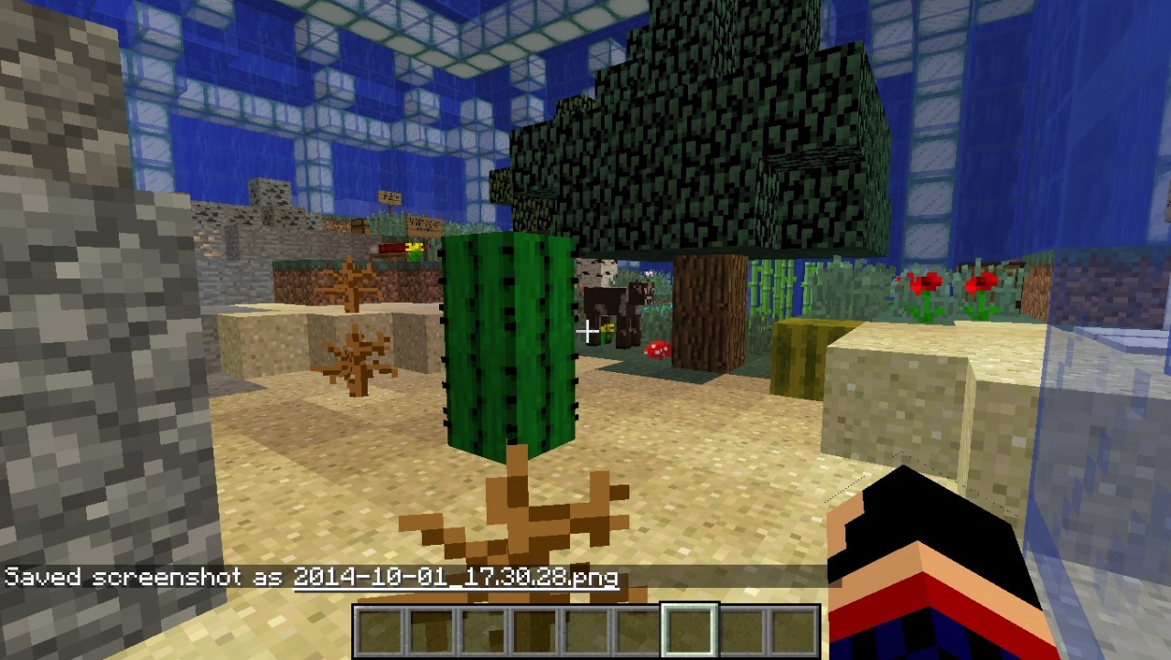 Flooded World Survival Minecraft Map