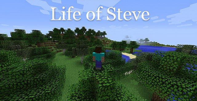 Steve's Life -- Story (Contest)