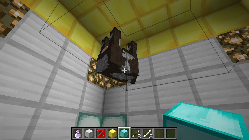 Flipping gravity Minecraft Map