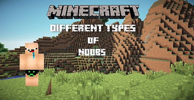 Different types of noobs in Minecraft.
