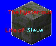 The Mysterious Life of Steve