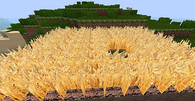 Real Life HD ResourcePack Minecraft Texture Pack