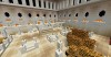 ThunderBiteNetwork | VOLTZ MODPACK Minecraft Server