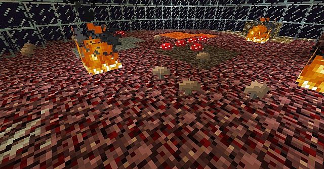 Nether Biosphere Minecraft Map