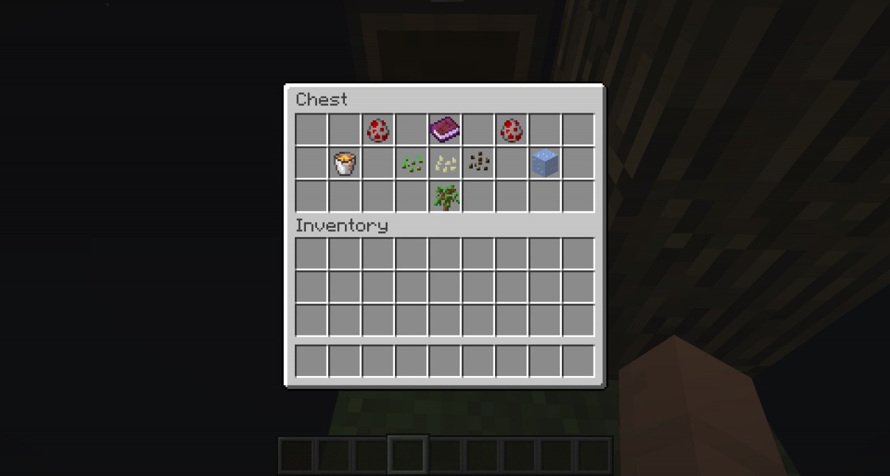 2x2 SKYBLOCK Minecraft Map