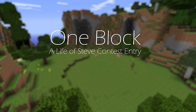 One Block [Life of Steve Contest]