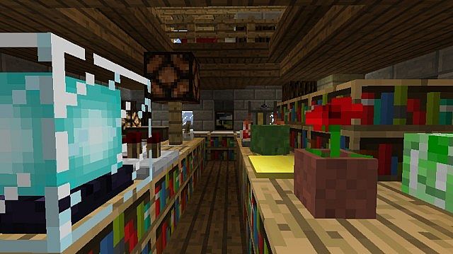 General Store & Tavern Minecraft Map