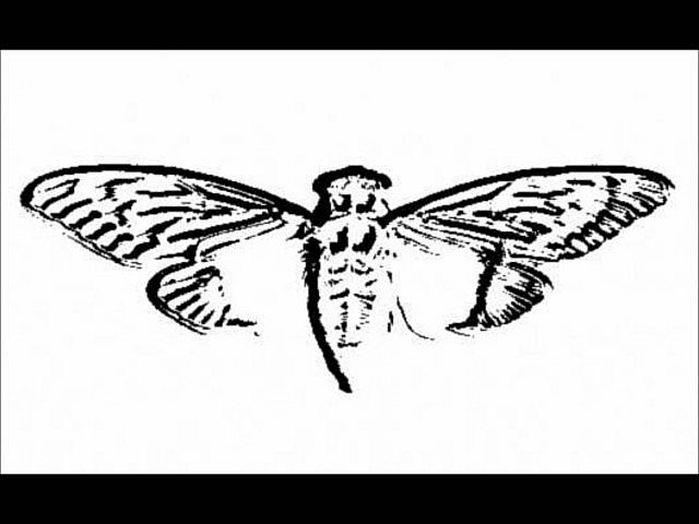 Cicada 3301 Map Minecraft Map