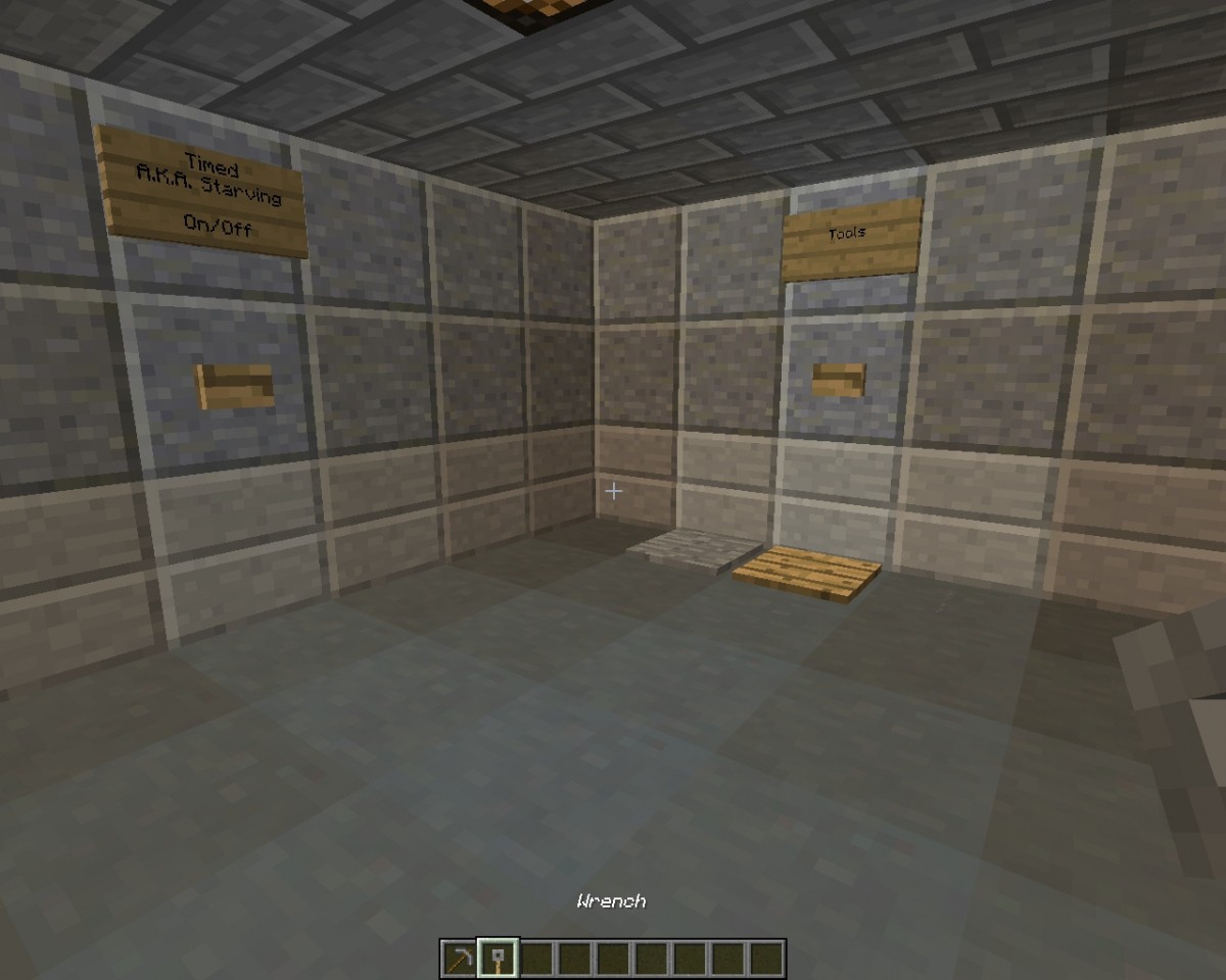 The Cage Minecraft Map