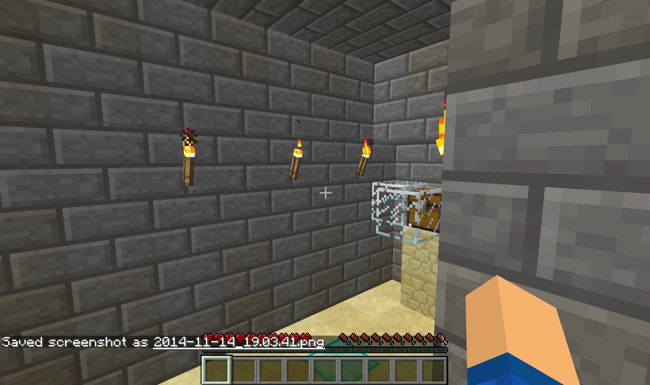 The Hidden Diamond Minecraft Map