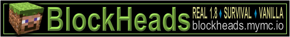 BlockHeads Minecraft Server