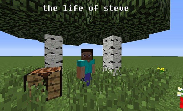 the life of steve