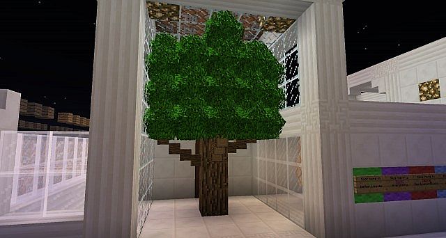 Vanilla Minecraft :"Tree-Updater" -3D leaves in Vanilla- Minecraft Map