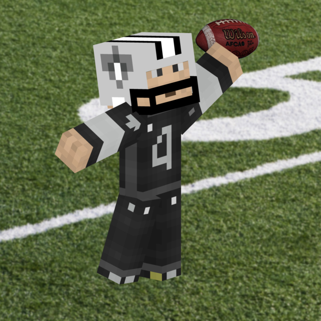 NFL (Football Season) (Skins)(32 Team Rosters)(2 man Per Team ...