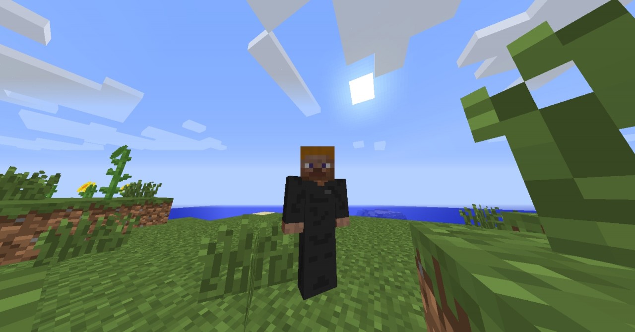 Wolf 3d Minecraft Texture Pack