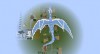 Ice Dragon Minecraft Map