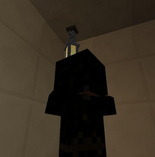 Doctor's Doctor Minecraft Map