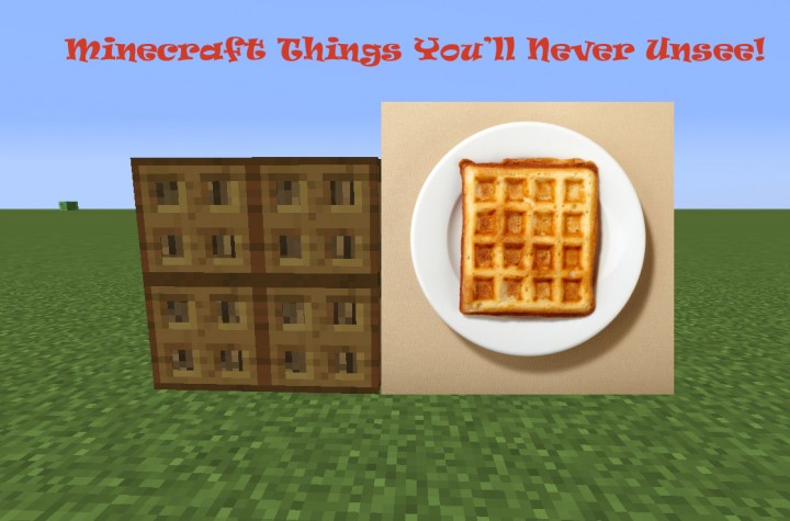 4 Minecraft Things You Will Never Unsee!