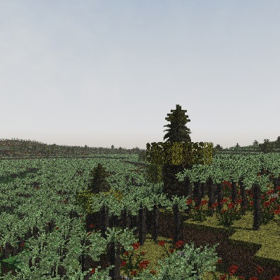 Páramo de Sumapaz National Park, Guama Municipality, Meta Department ...