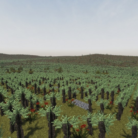 Páramo de Sumapaz National Park, Guama Municipality, Meta Department ...