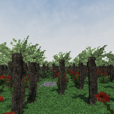 Páramo de Sumapaz National Park, Guama Municipality, Meta Department ...