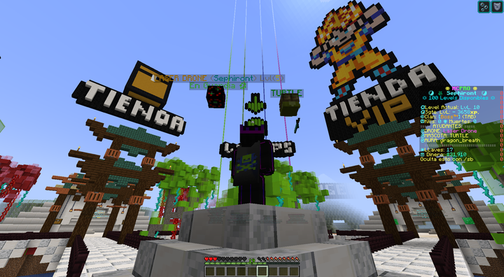 MCPRO Minecraft Server