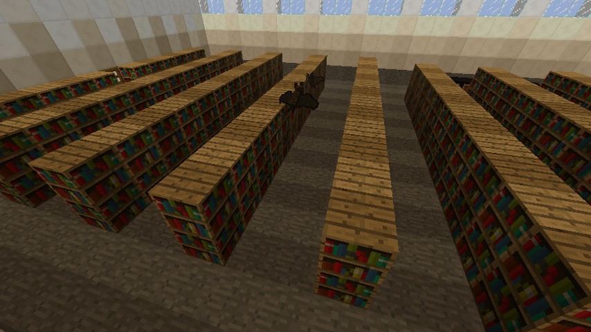 Penny Market Minecraft Map