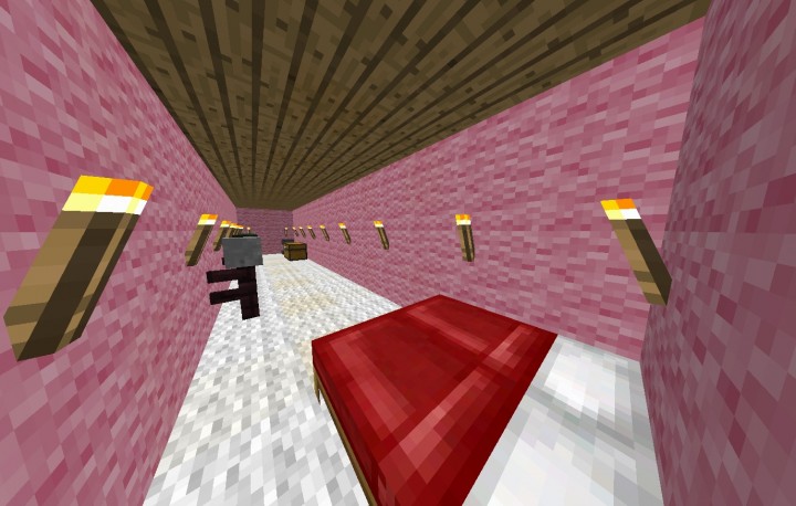 Dexter's Lab Minecraft Map