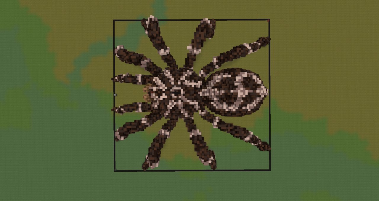 Giant Goliath spider Minecraft Map