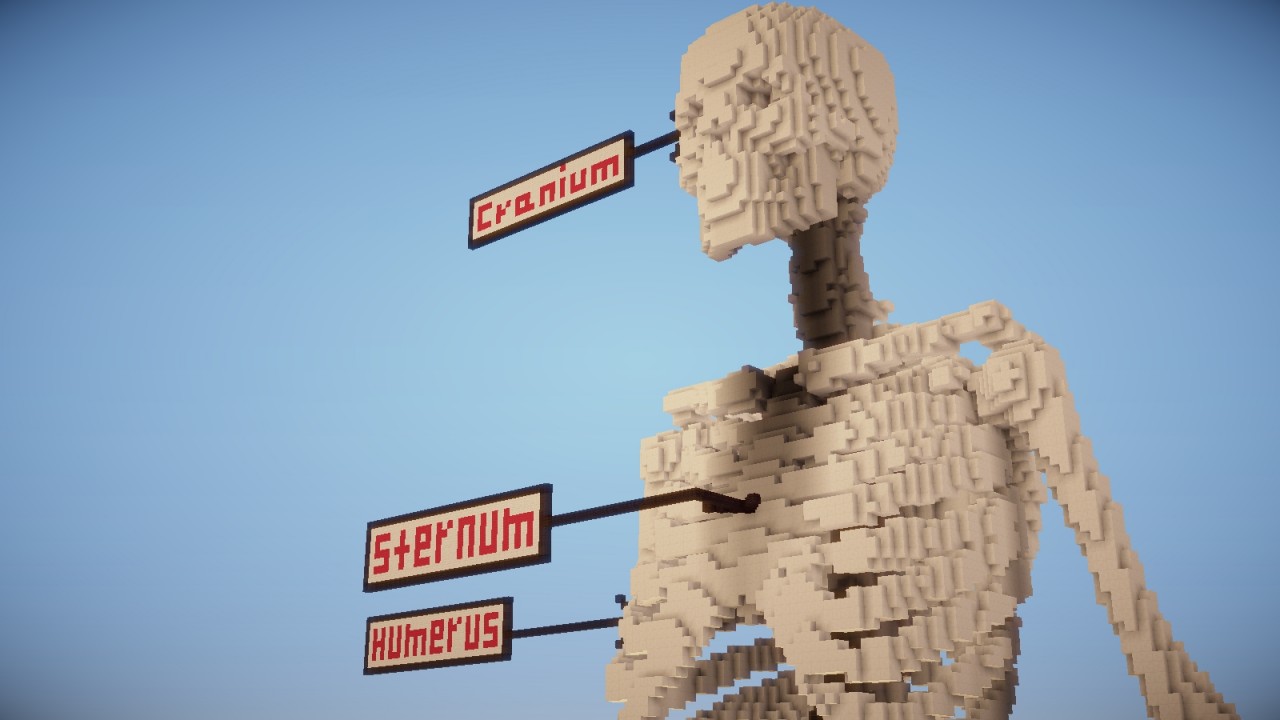 Skeleton for educational purposes Minecraft Map
