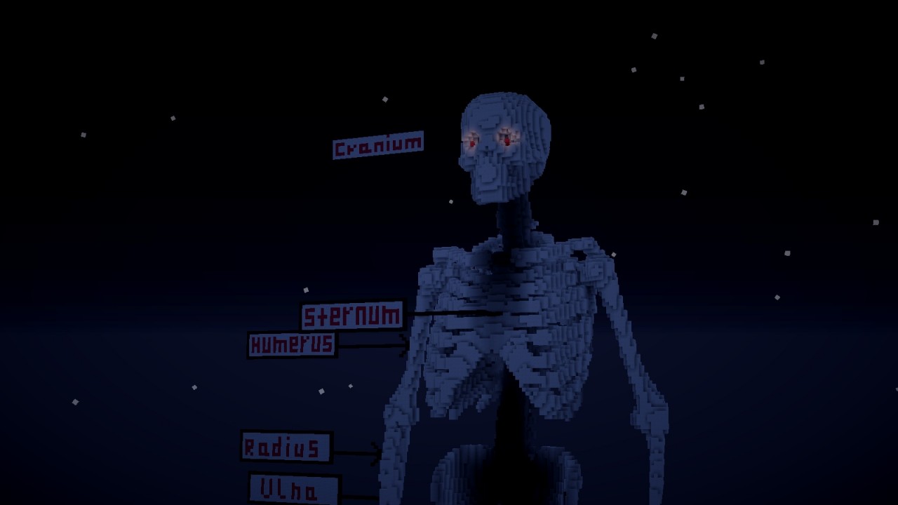 Minecraft Skeleton Anatomy