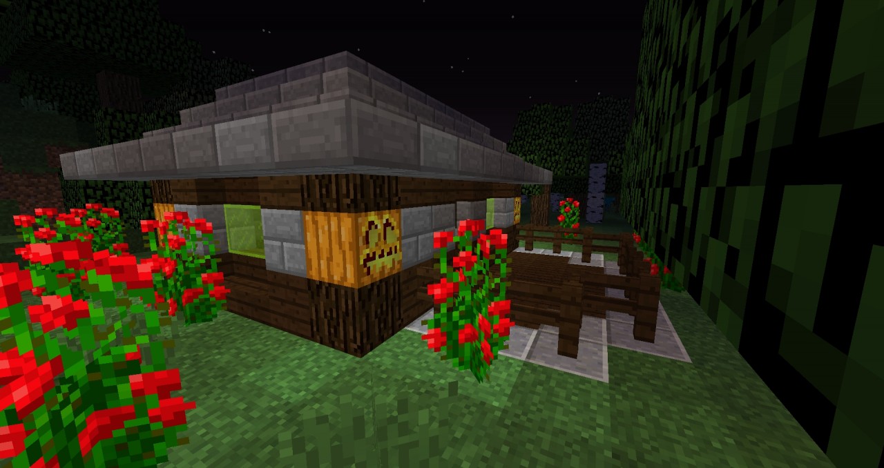 A cozy little hut Minecraft Map