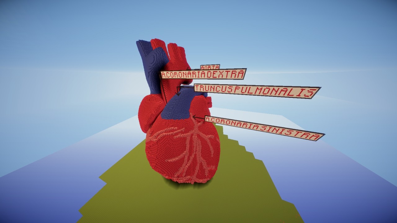 Heart for educational purposes Minecraft Map