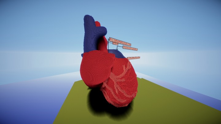 Heart for educational purposes Minecraft Map