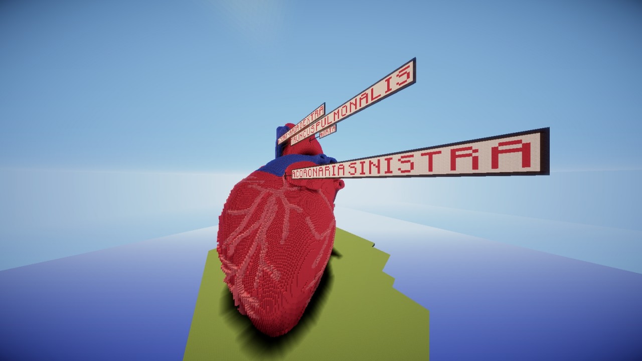 Heart for educational purposes Minecraft Map