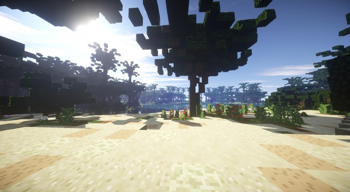 Oasis Minecraft Map