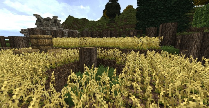 Farm Minecraft Map