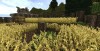 Farm Minecraft Map