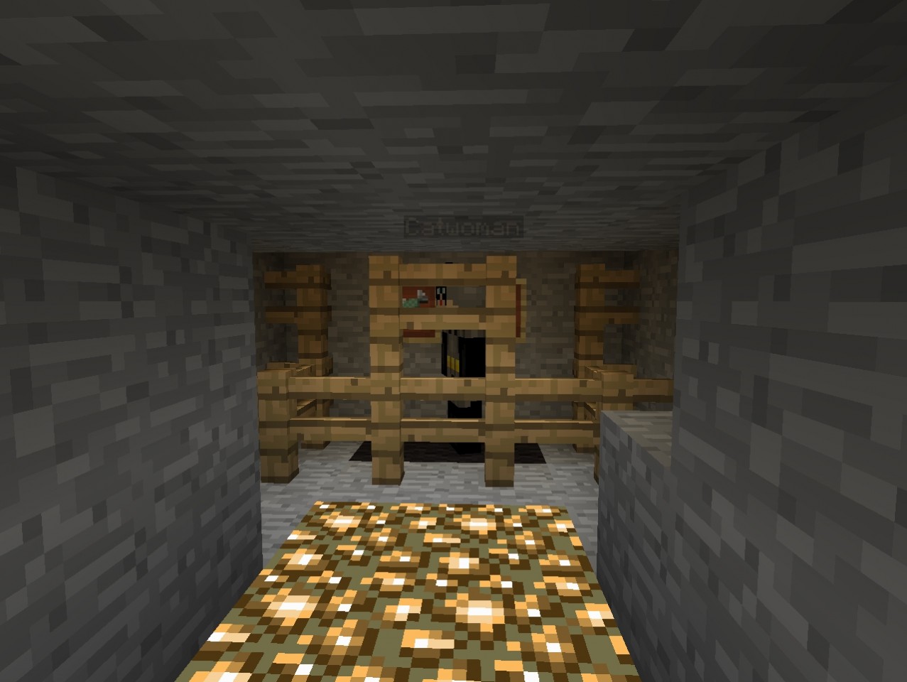 Batman-Revealed? Minecraft Map