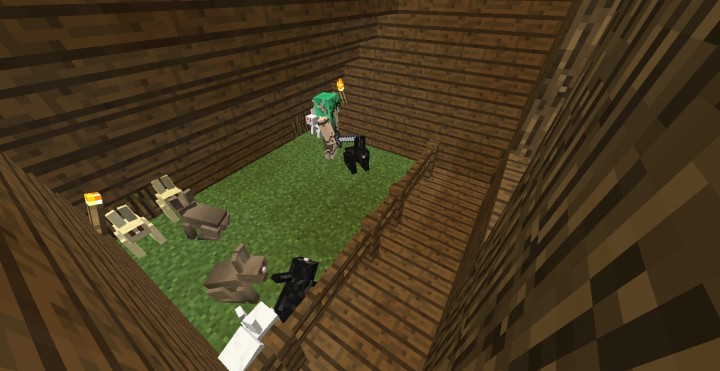 Bunny House Minecraft Map