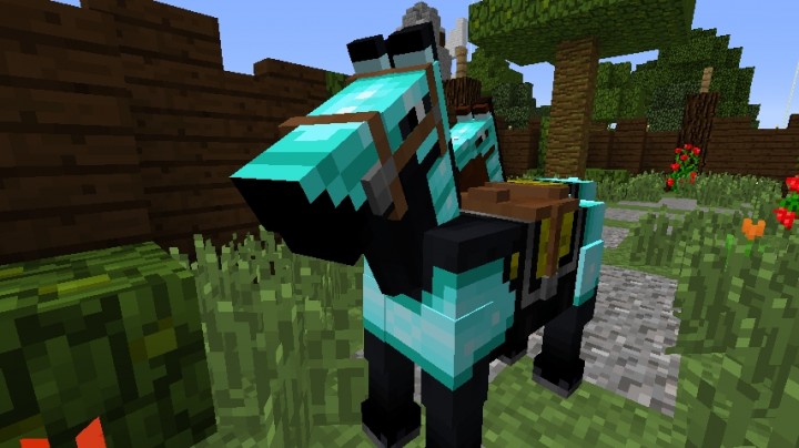 How to find a perfect horse!