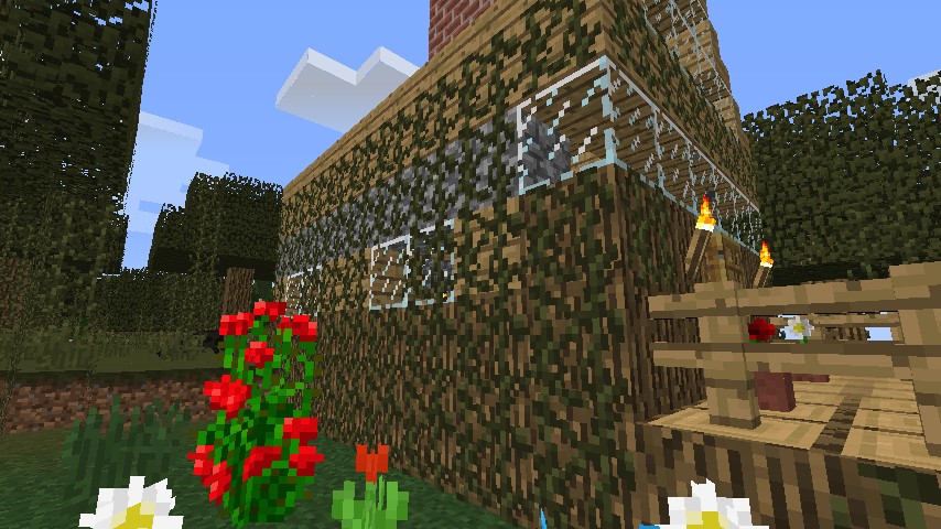 Swamp Cottage Minecraft Map